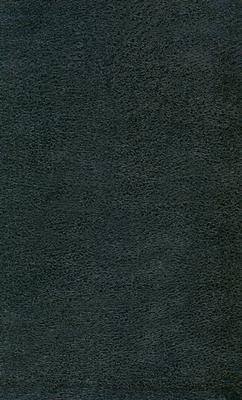 楽天ブックス: Christian Counselor's New Testament and Proverbs-OE - Jay ...