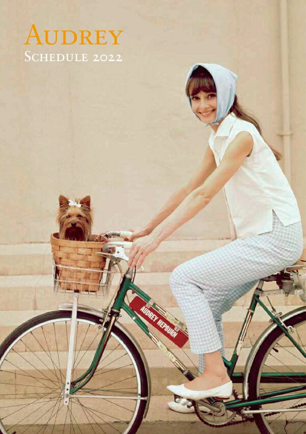 楽天ブックス: AUDREY Diary Schedule 2022 - 9784909532596 : 本