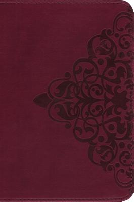 楽天ブックス: Single-Column Bible-NIV - Zondervan - 9780310402626 : 洋書