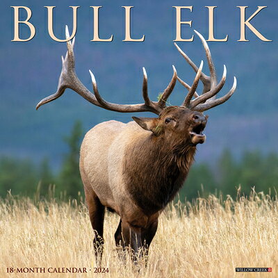 楽天ブックス: Bull Elk 2024 12 X 12 Wall Calendar - Willow Creek Press ...