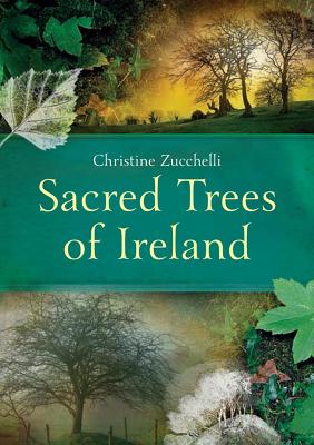 楽天ブックス: Sacred Trees of Ireland - Christine Zucchelli - 9781848892774 : 洋書