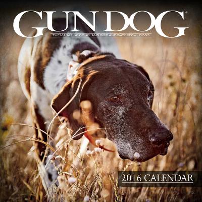 楽天ブックス: Gun Dog Calendar - Gun Dog Staff - 9781934622964 : 洋書