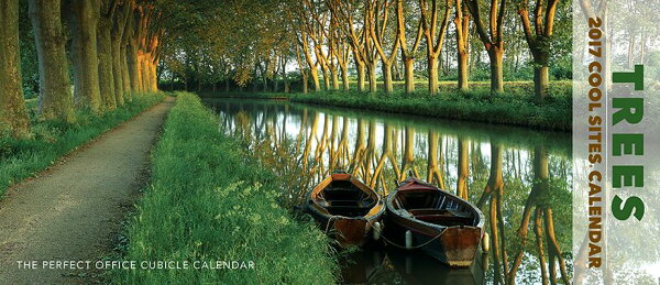楽天ブックス: Trees Panoramic Wall Calendar - Shearson - 9781682343111 : 洋書