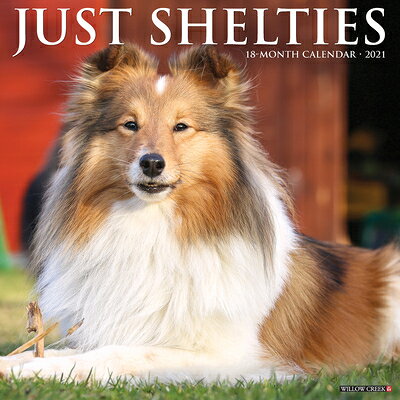 楽天ブックス: Just Shelties 2021 Wall Calendar (Dog Breed Calendar) - Willow ...