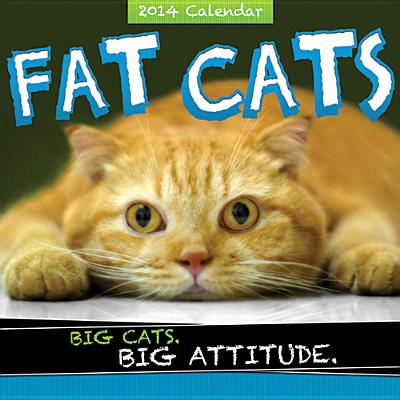 楽天ブックス: Fat Cats Calendar - Sourcebooks Inc - 9781402283529 : 洋書