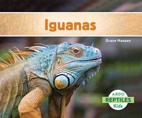 楽天ブックス: Iguanas (Iguanas) (Spanish Version) - Grace Hansen ...