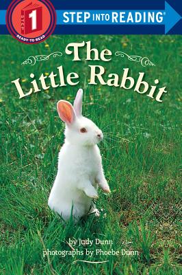 楽天ブックス: The Little Rabbit - Judy Dunn - 9780553533552 : 洋書
