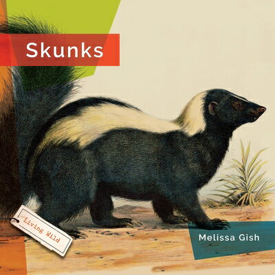 楽天ブックス: Skunks - Melissa Gish - 9781682773567 : 洋書