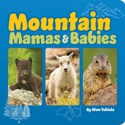 楽天ブックス: Mountain Mamas & Babies - Stan Tekiela - 9781647553593 : 洋書
