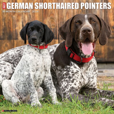 楽天ブックス: Just German Shorthaired Pointers 2024 12 X 12 Wall Calendar ...