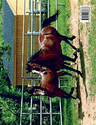 楽天ブックス: The Lippitt Morgan Horse: Volume 1 - Rachel Lonergan ...