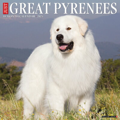 楽天ブックス: Just Great Pyrenees 2024 12 X 12 Wall Calendar - Willow Creek ...