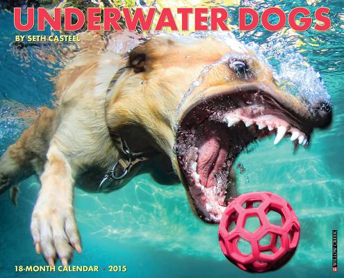楽天ブックス: Underwater Dogs Calendar - Seth Casteel - 9781623433864 : 洋書