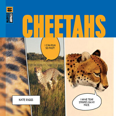 楽天ブックス: Cheetahs - Kate Riggs - 9781682773888 : 洋書