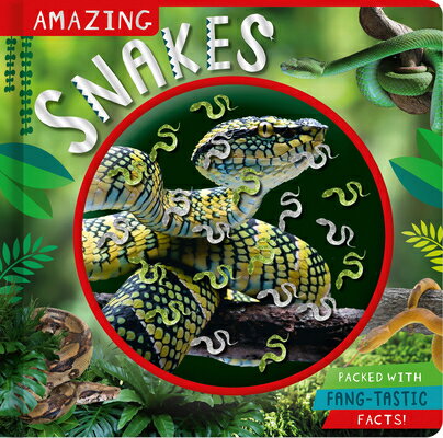 楽天ブックス: Amazing Snakes - Naomi Churn - 9781805443919 : 洋書