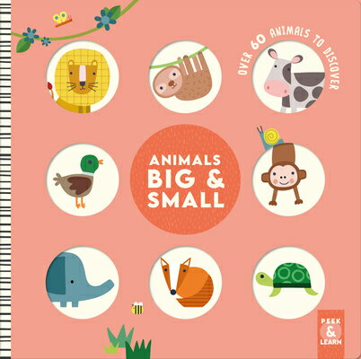 楽天ブックス: Animals Big & Small: Over 60 Animals to Discover - Rebecca ...
