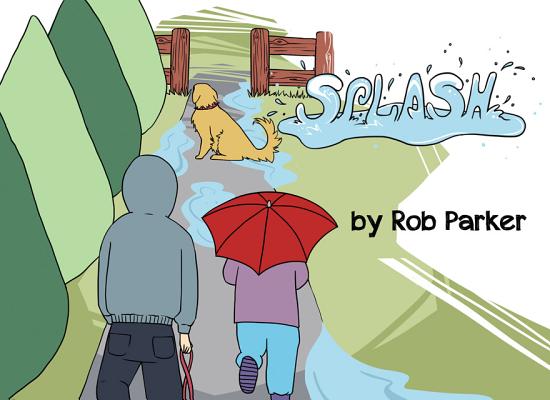 楽天ブックス: Splash - Roy McLarty - 9781849633970 : 洋書