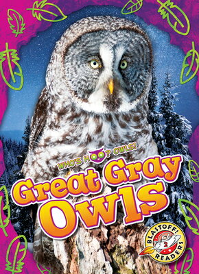 楽天ブックス: Great Gray Owls - Rachael Barnes - 9798886874150 : 洋書