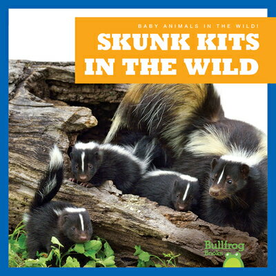 楽天ブックス: Skunk Kits in the Wild - Katie Chanez - 9798885244152 : 洋書