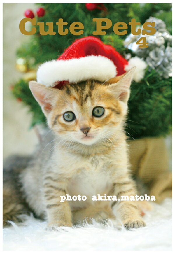 楽天ブックス: 【POD】cute pets 4 - 的場章 - 2300000144277 : 本