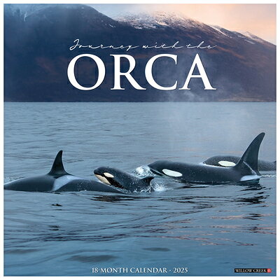 楽天ブックス: Orca (Journey with The) 2025 12 X 12 Wall Calendar - Willow ...