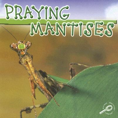楽天ブックス: Praying Mantises - Jason Cooper - 9781595154293 : 洋書