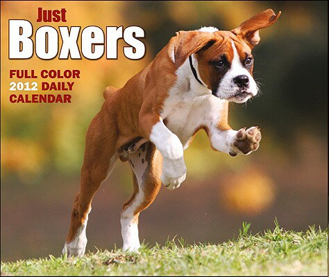 楽天ブックス: Just Boxers Daily Calendar - Willow Creek Press - 9781607554615 ...