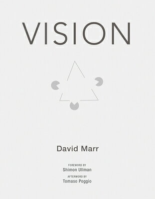 楽天ブックス: Vision: A Computational Investigation Into the Human ...