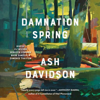 楽天ブックス: Damnation Spring - Ash Davidson - 9781797124681 : 洋書