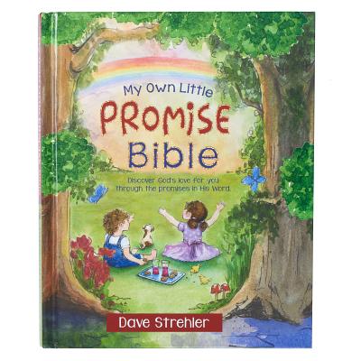 楽天ブックス: My Own Little Promise Bible Hardcover - Dave Strehler ...