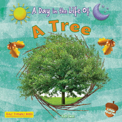 楽天ブックス: A Tree - Ruth Owen - 9781788565059 : 洋書
