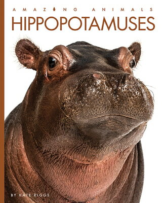 楽天ブックス: Hippopotamuses - Kate Riggs - 9781640265134 : 洋書