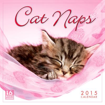 楽天ブックス: Cat Naps Calendar - Inc Sellers Publishing - 9781416295143 : 洋書