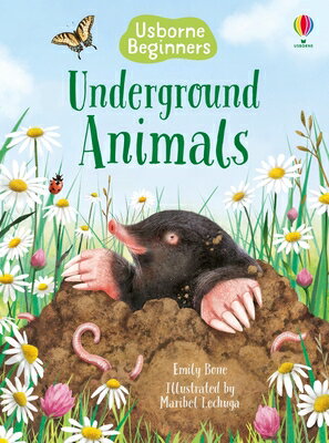楽天ブックス: Underground Animals - Emily Bone - 9781835405239 : 洋書