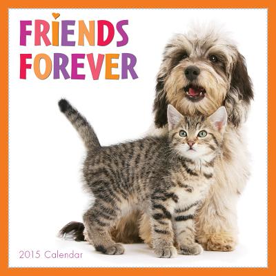 楽天ブックス: Friends Forever Calendar - Inc Sellers Publishing ...