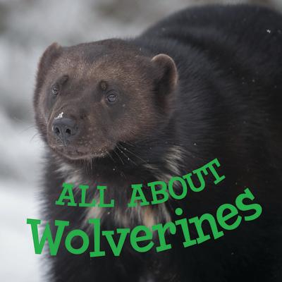楽天ブックス: All about Wolverines: English Edition - Jordan Hoffman ...