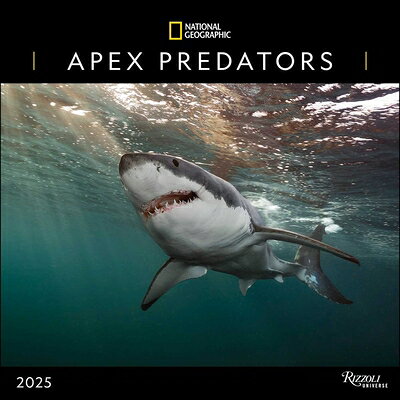 楽天ブックス: National Geographic: Apex Predators 2025 Wall Calendar ...
