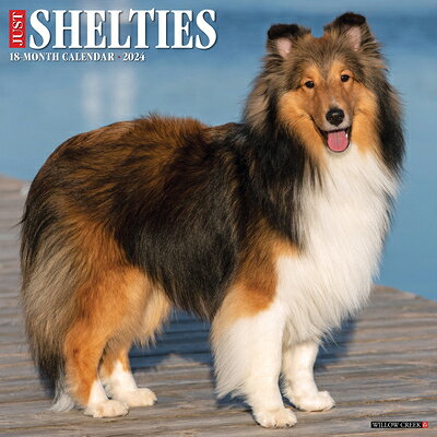 楽天ブックス: Just Shelties 2024 12 X 12 Wall Calendar - Willow Creek Press ...