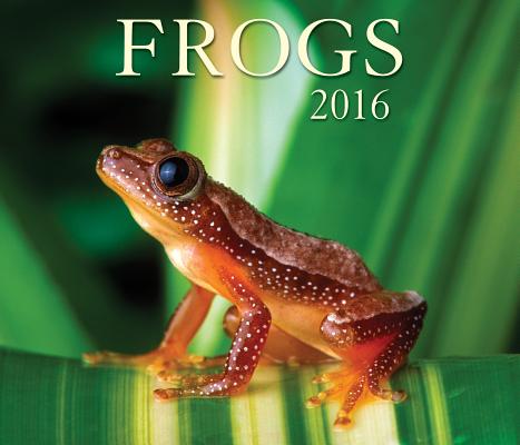 楽天ブックス: Frogs 2016 - Firefly Books - 9781770855342 : 洋書