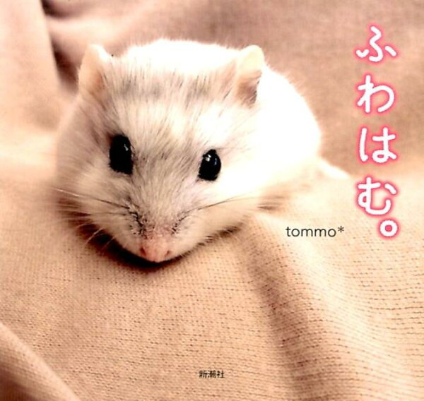 楽天ブックス: ふわはむ。 - tommo＊ - 9784103505419 : 本