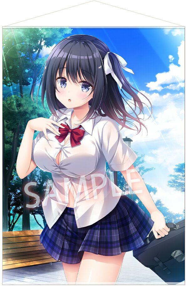 楽天ブックス: 九条だんぼ先生描き下ろし「ダキカノ」向坂みなも A1タペストリー - Willplus - 4517451015508 : PCソフト・周辺機器