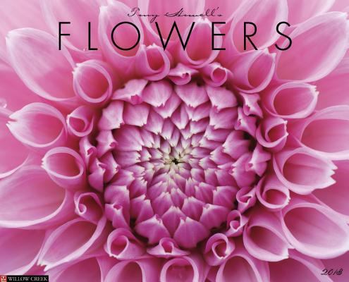 楽天ブックス: Torry Howell's Flowers - Willowcreek - 9781607555605 : 洋書