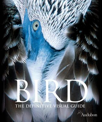 楽天ブックス: Bird: The Definitive Visual Guide - Saloni Talwar ...