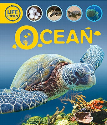 楽天ブックス: Ocean - Sean Callery - 9780753465776 : 洋書