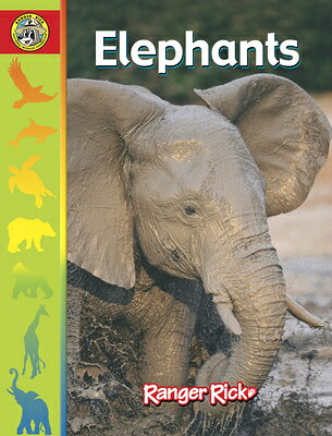 楽天ブックス: Elephants - Susan Yoder Ackerman - 9781645825791 : 洋書