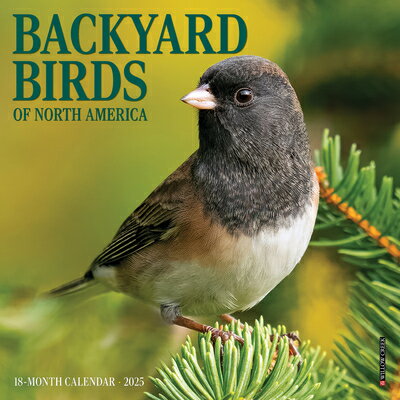 楽天ブックス: Backyard Birds 2025 7 X 7 Mini Wall Calendar - Willow Creek ...