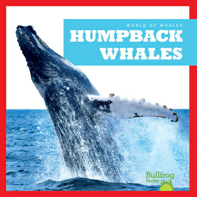 楽天ブックス: Humpback Whales - Jenna Lee Gleisner - 9798885245968 : 洋書