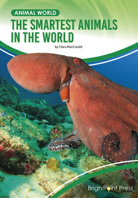 楽天ブックス: The Smartest Animals in the World - Clara Maccarald ...