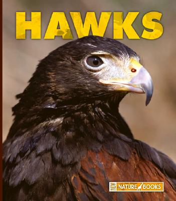楽天ブックス: Hawks - Sharon Sharth - 9781592966400 : 洋書
