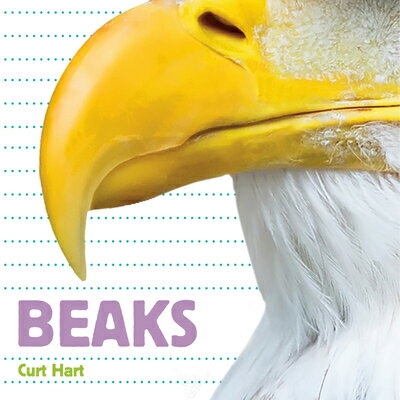 楽天ブックス: Beaks - Curt Hart - 9781486726479 : 洋書